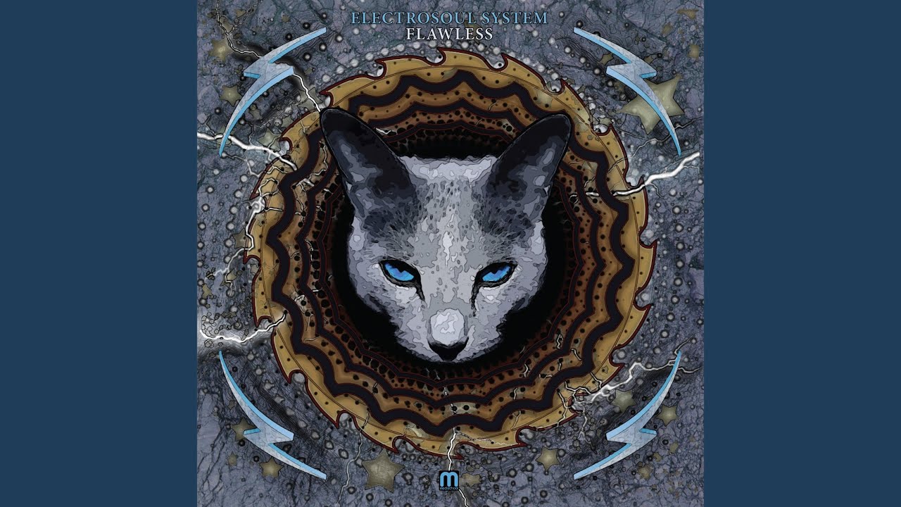 Electrosoul System - Shadow (feat. Deeizm) | Drum and bass | Digg