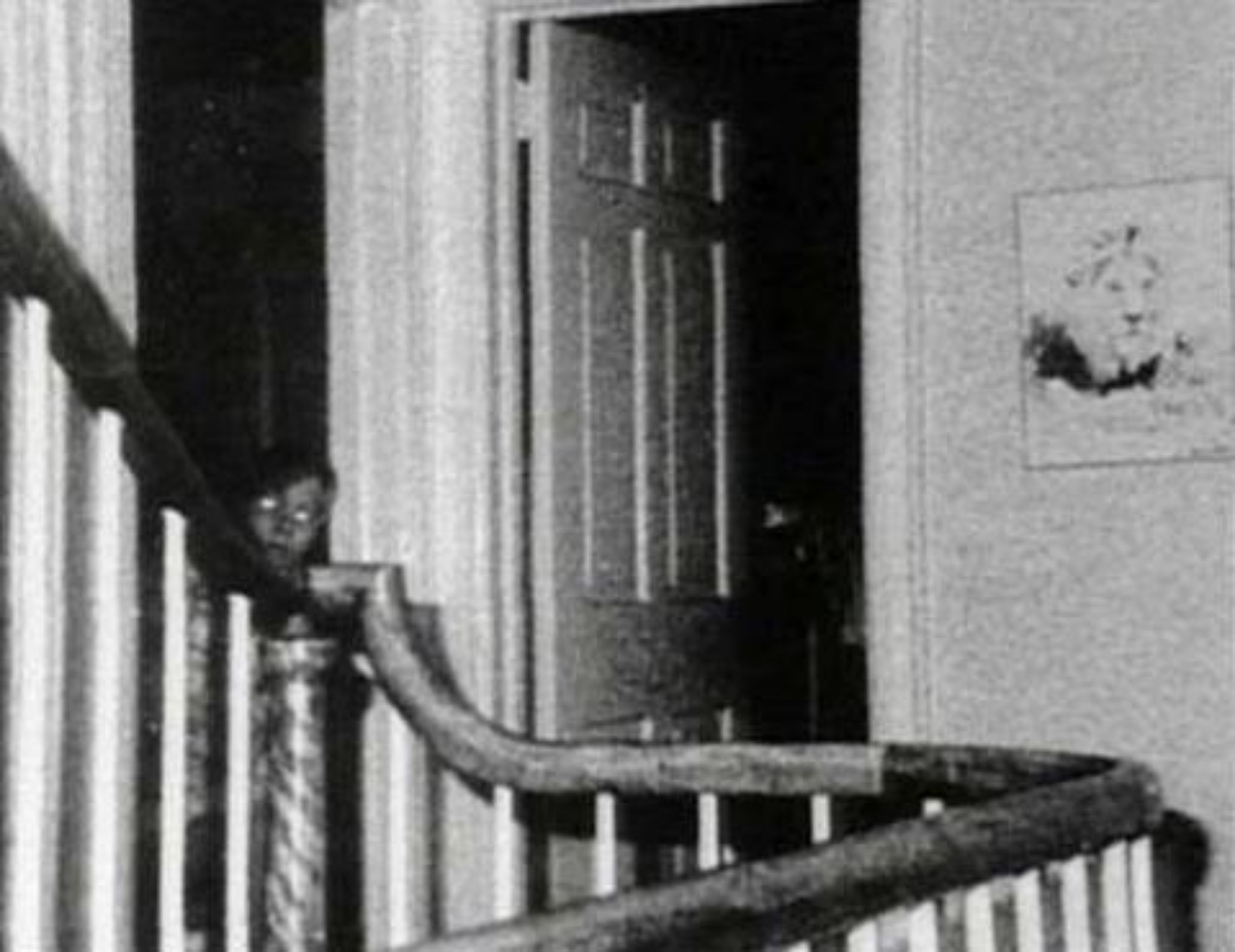 The "Amityville Ghost Boy" | Ghosts & Paranormal | Digg