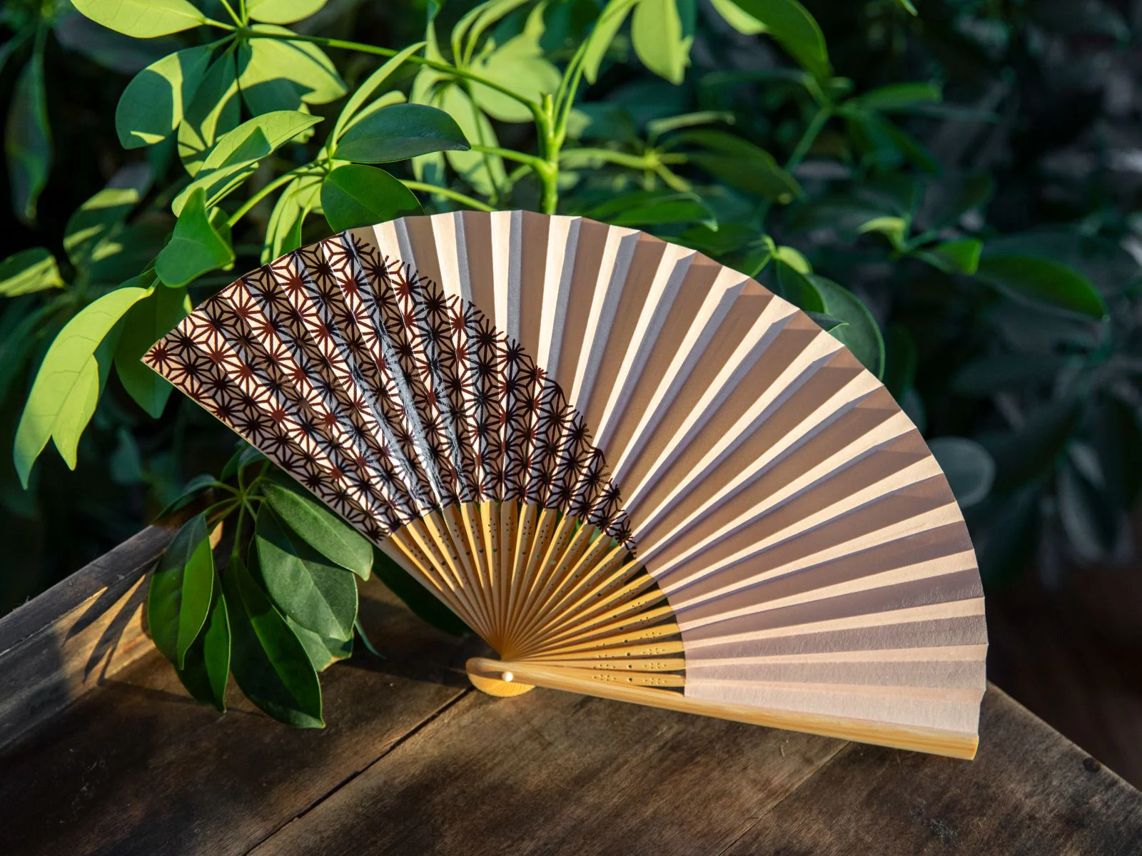 Japanese hand fan | OnlyFans | Digg