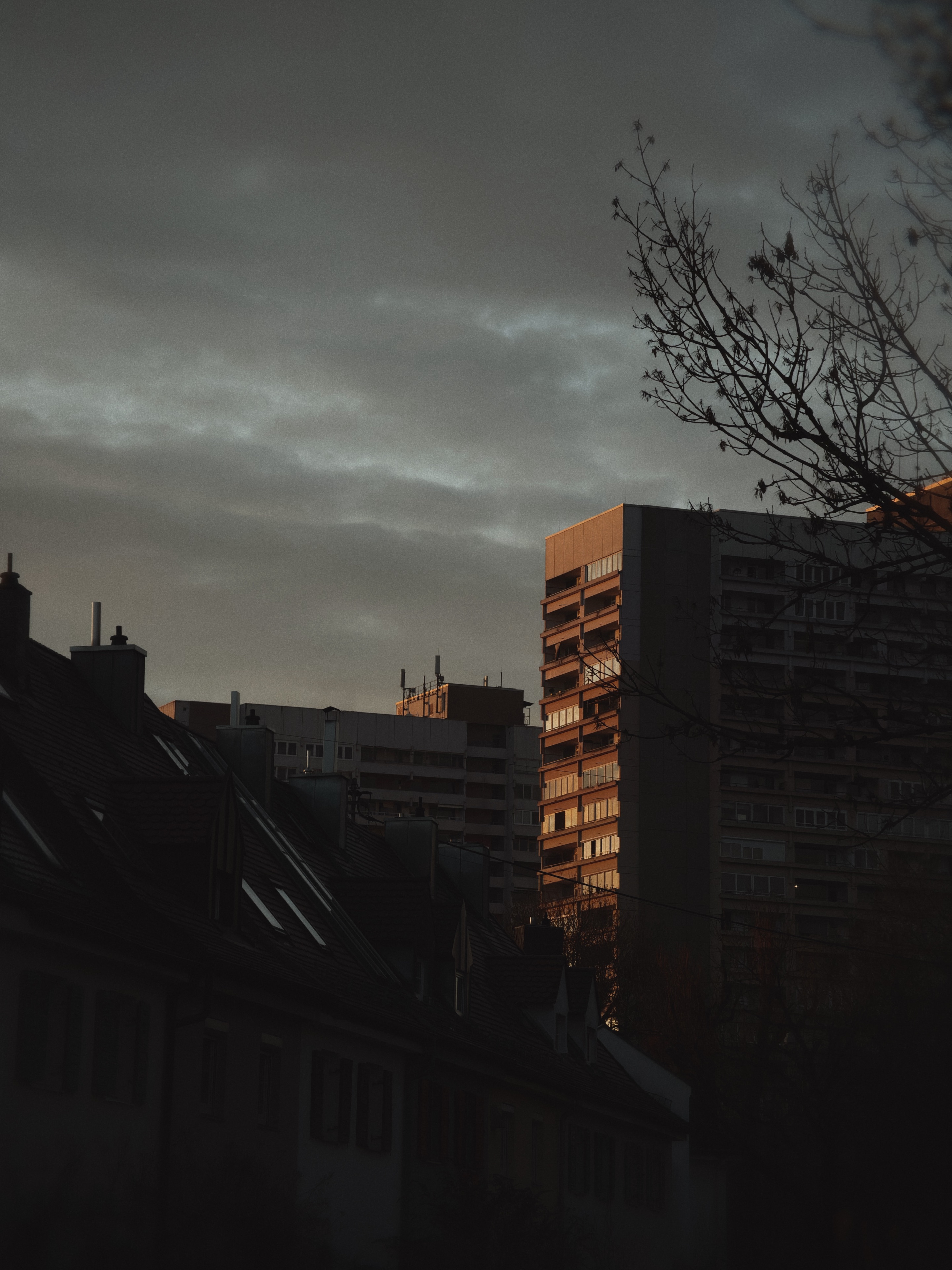 Trying out the No Fusion app for the first time. Shot on iPhone 17 Pro ...