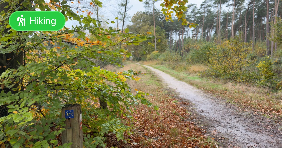 Marskramer Path part 01 | photography | Digg