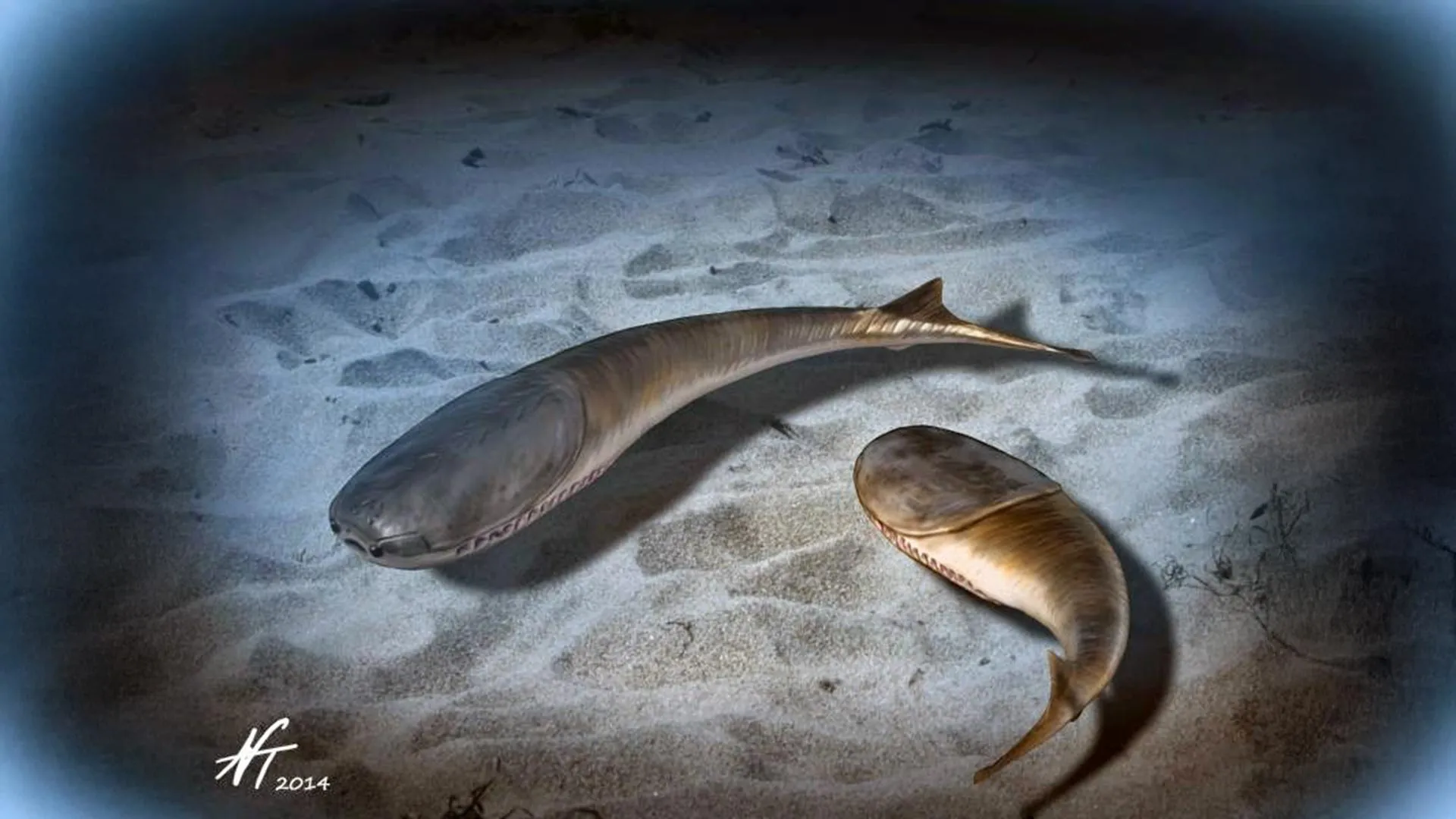 When the oceans died and life changed forever | science | Digg