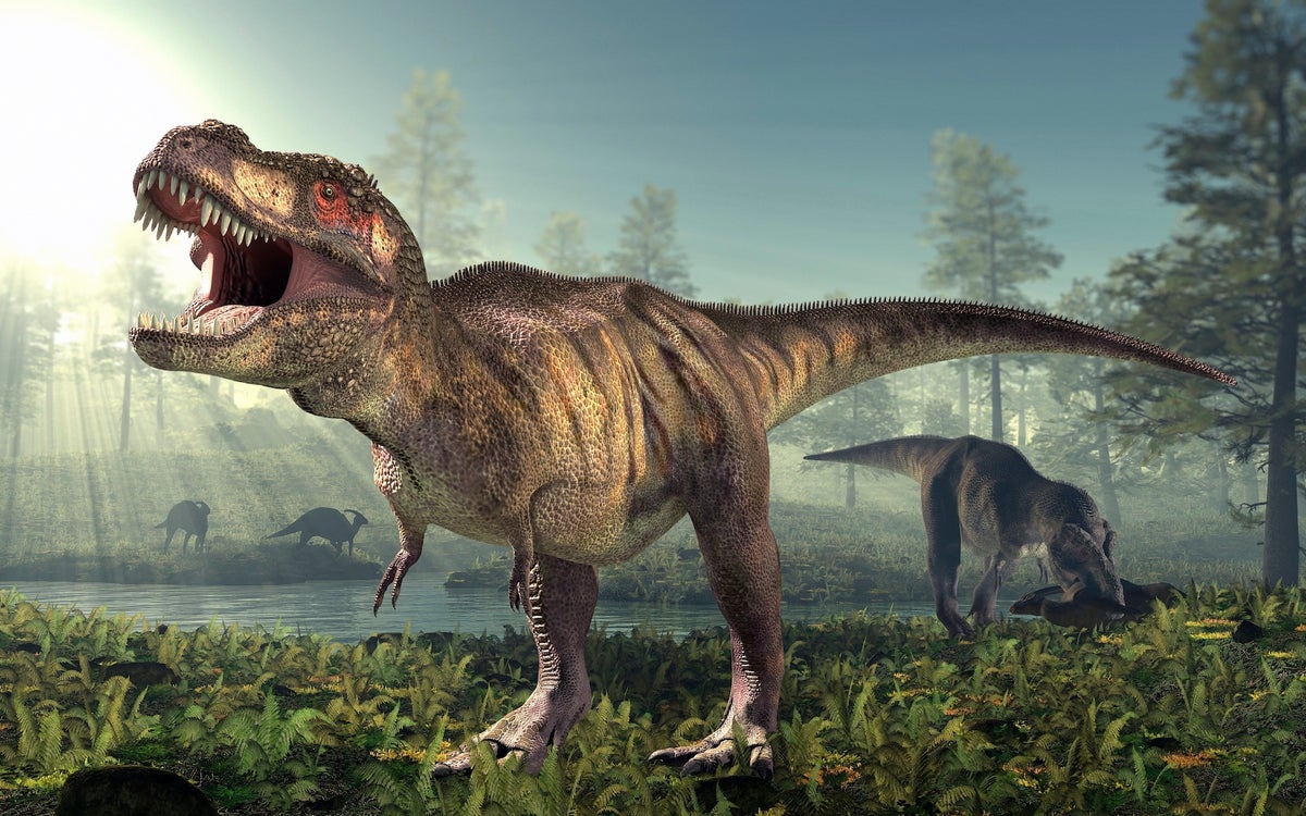 T. rex Never Stopped Growing, Dinosaur Bone Study Suggests | Scientific ...