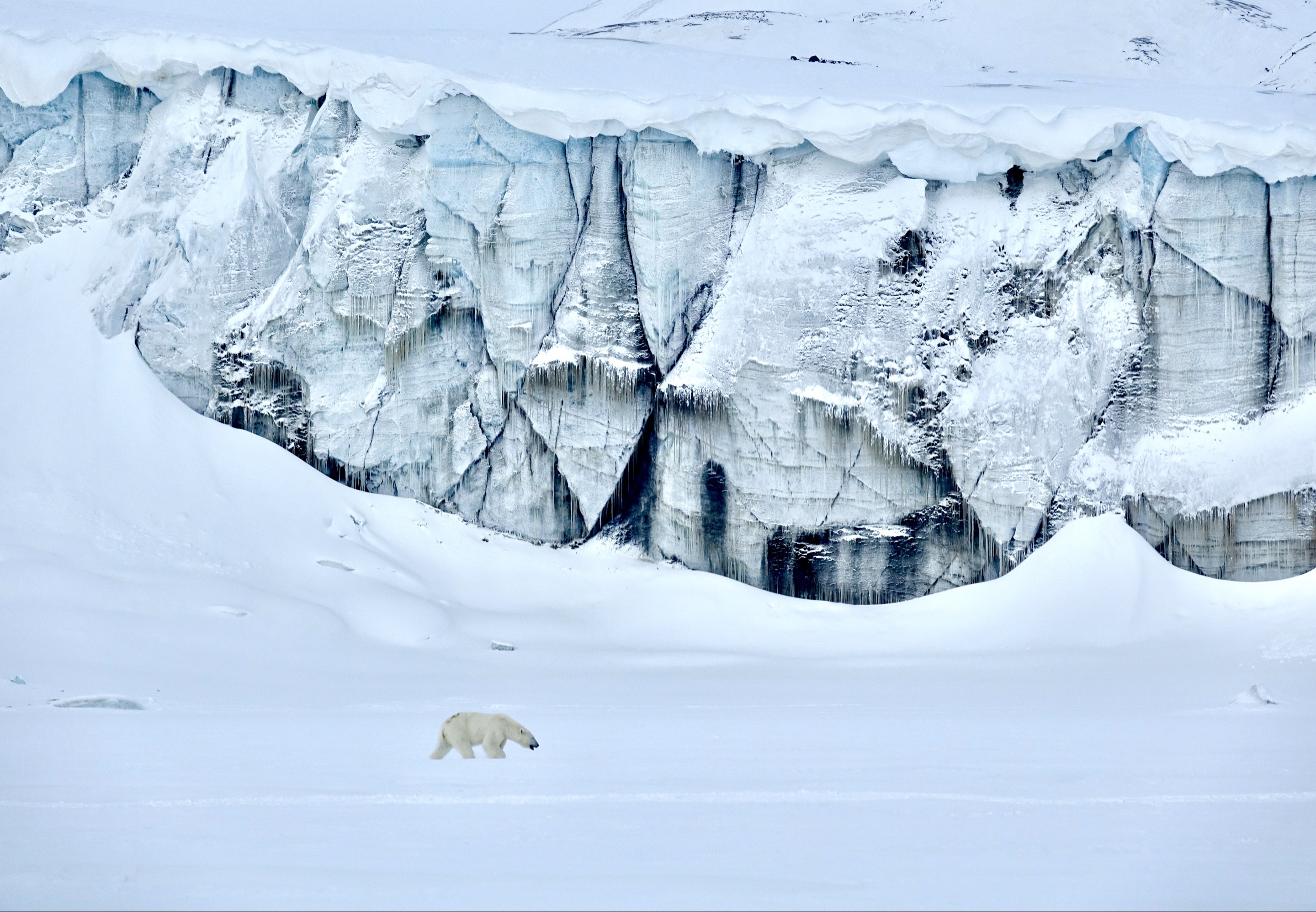 Gotta love Svalbard | Travel | Digg